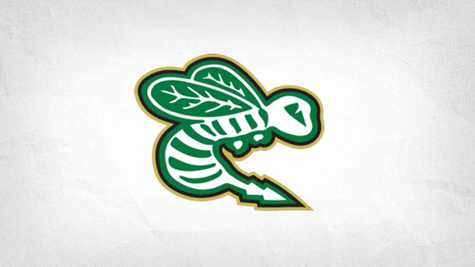 Wayzata Yellow - Prior Lake Savage Gold (PeeWee B2)