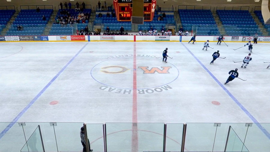 Minnesota Made Hockey