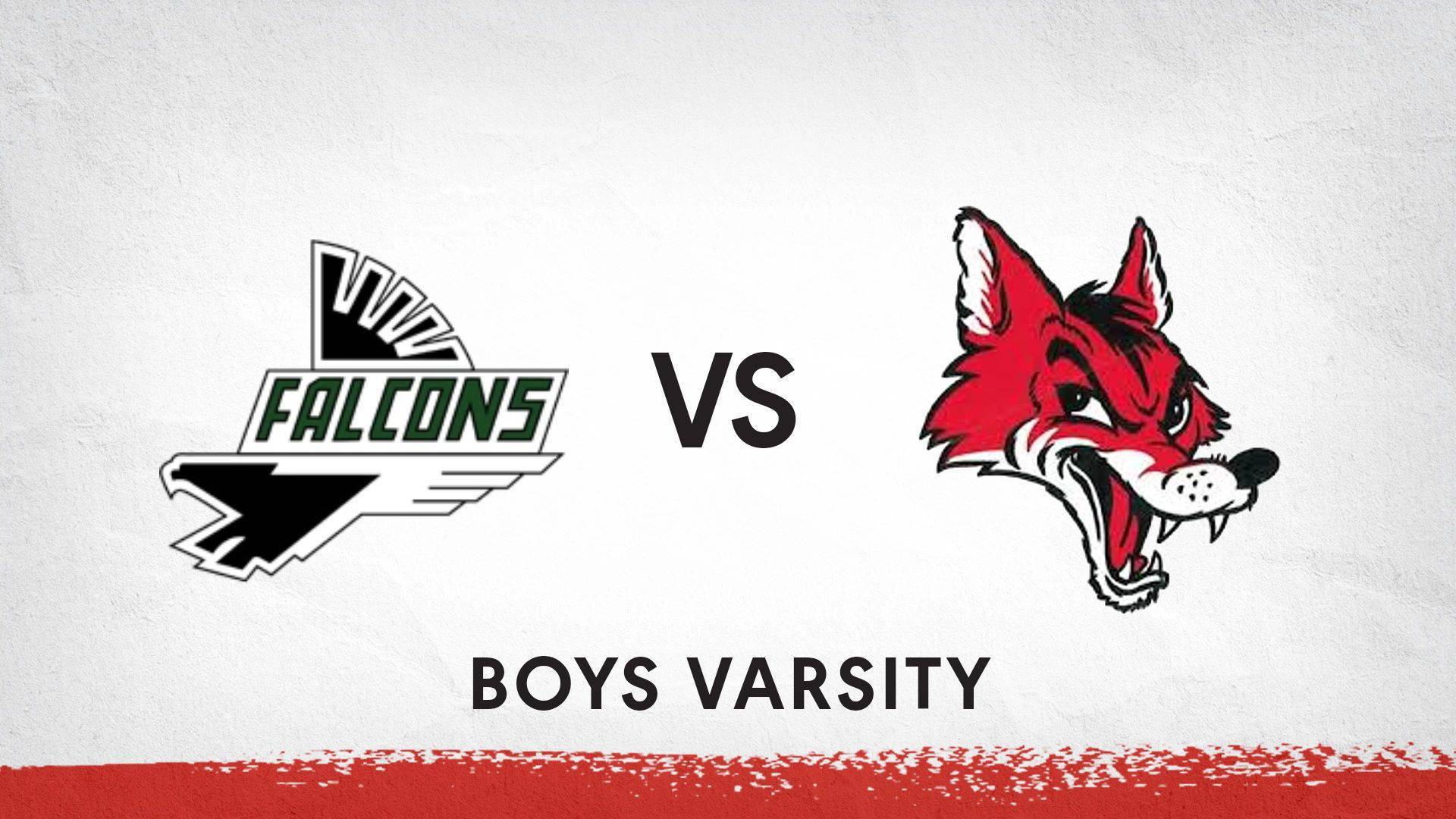 Faribault - Ely (Boys Varsity Hockey)