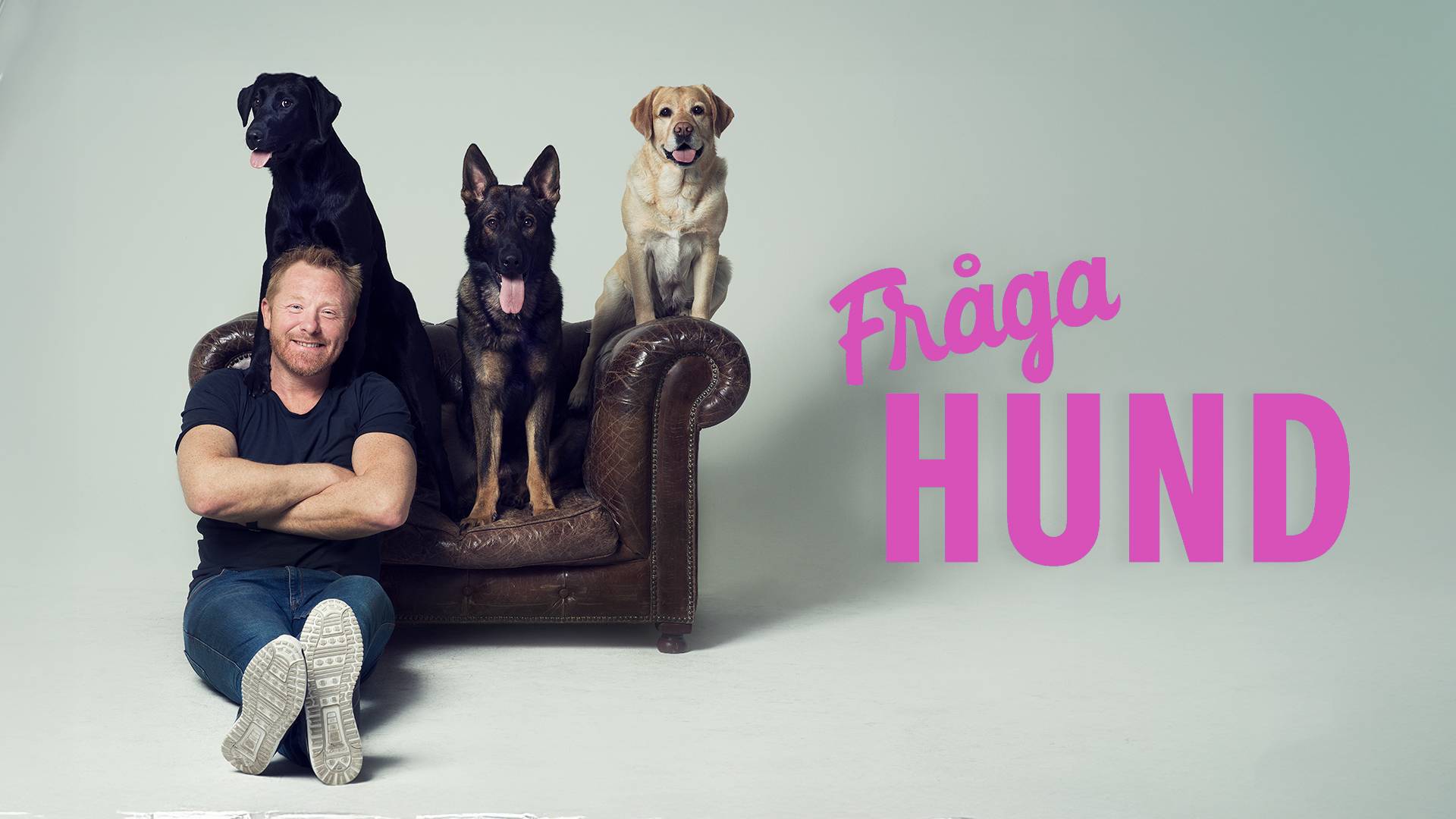 Fråga HUND - Avsnitt 4