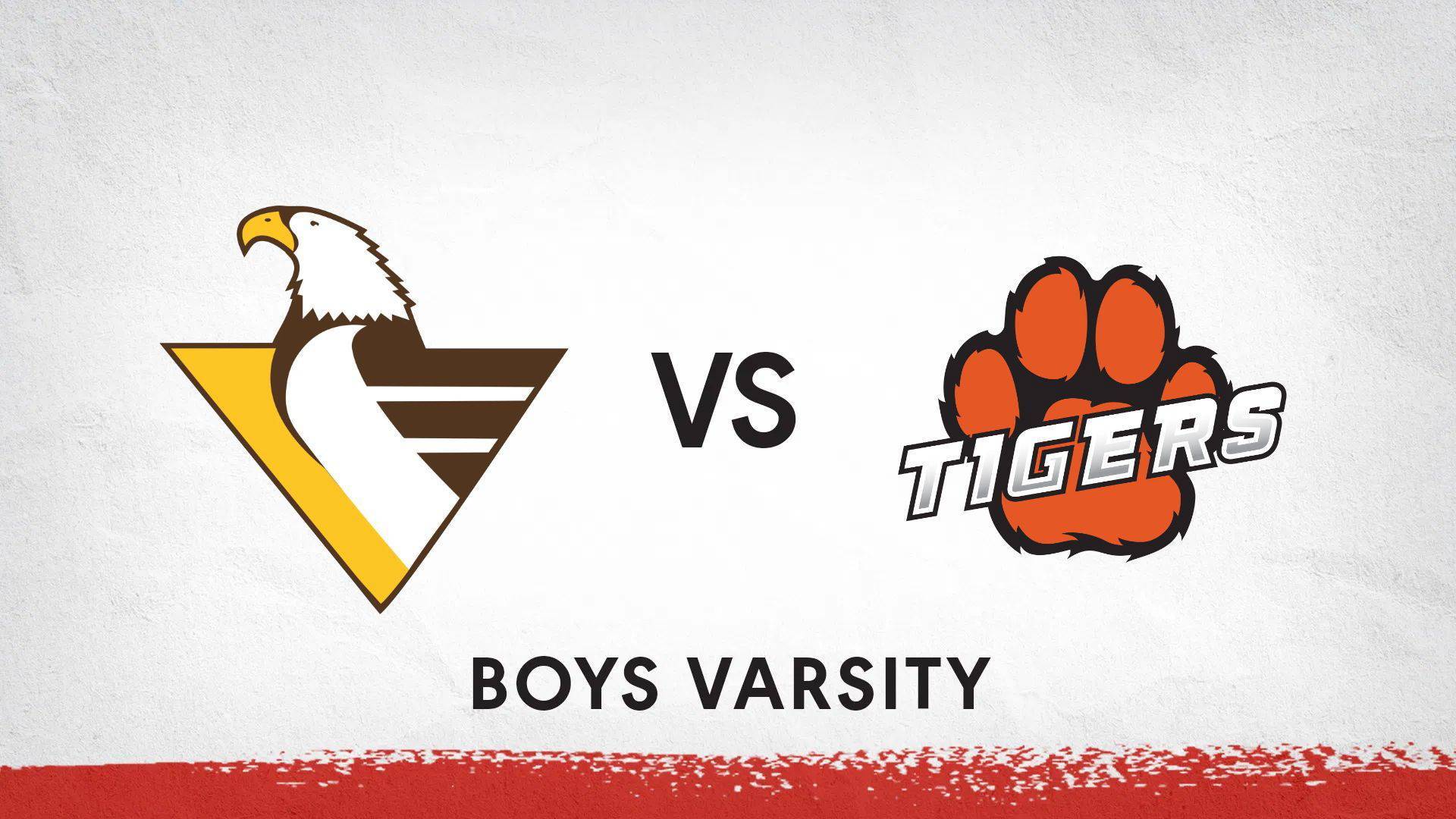 Apple Valley/Burnsville - Farmington (Boys Varsity Hockey)