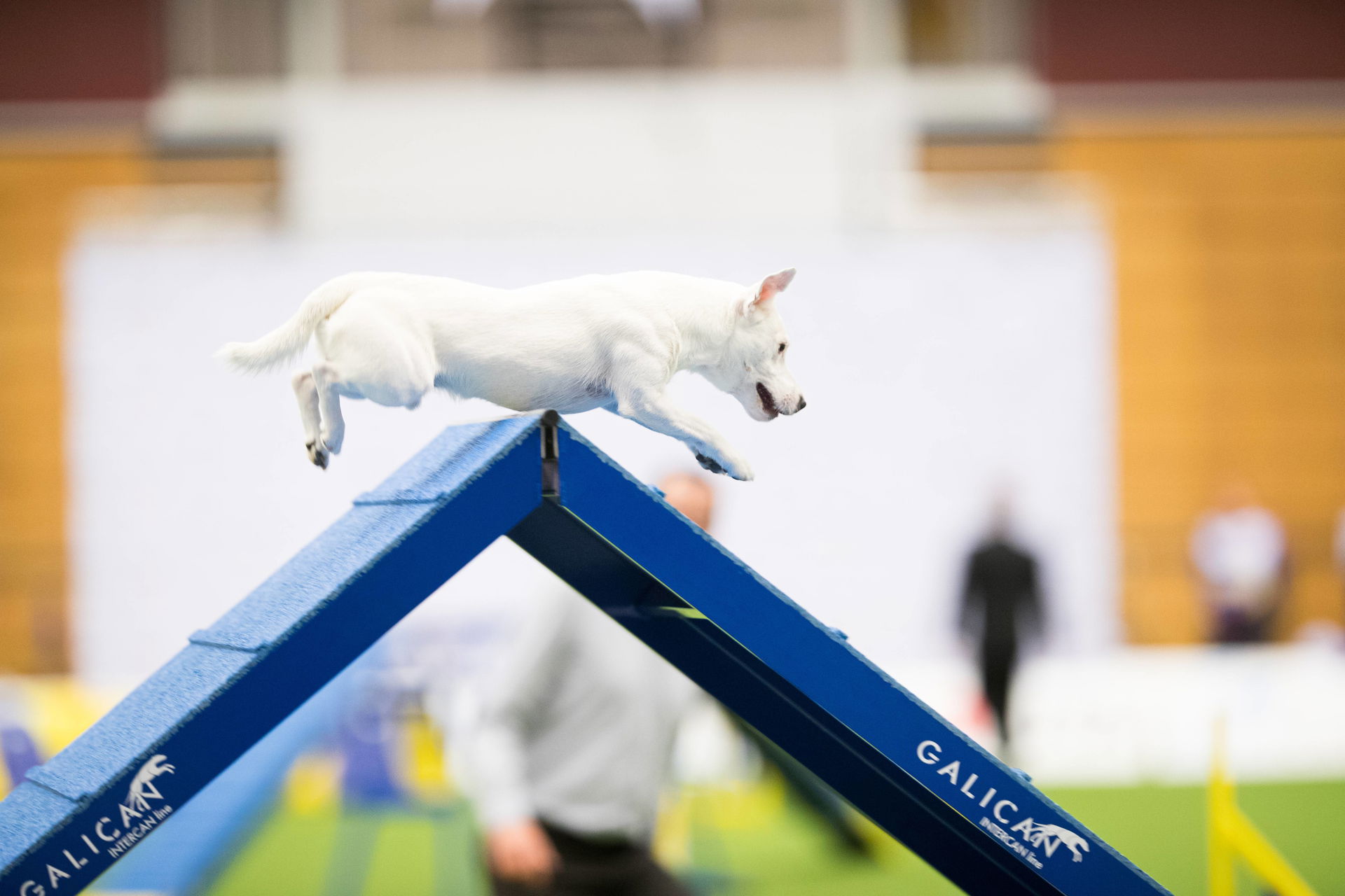 AWC 2025 - Day 3 - Full day