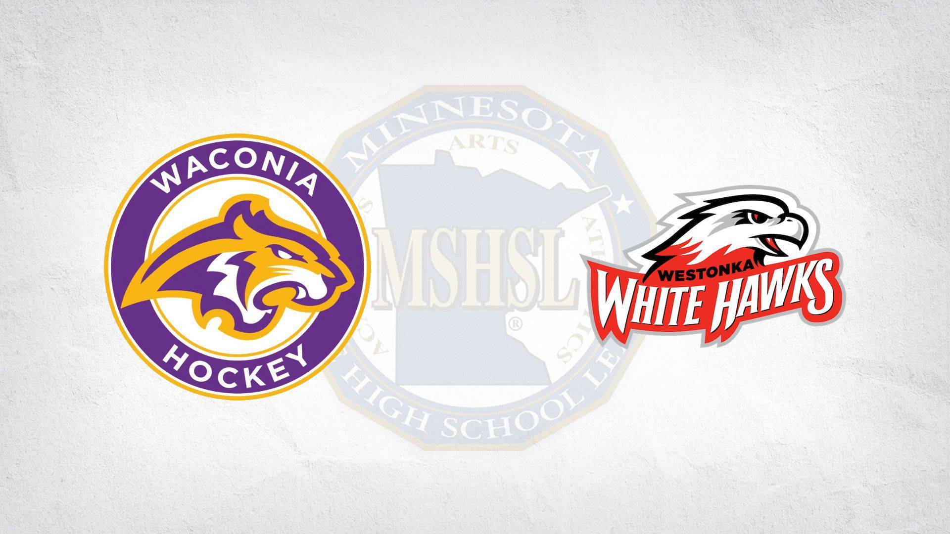 Waconia - Westonka (Boys 2A Play-In)