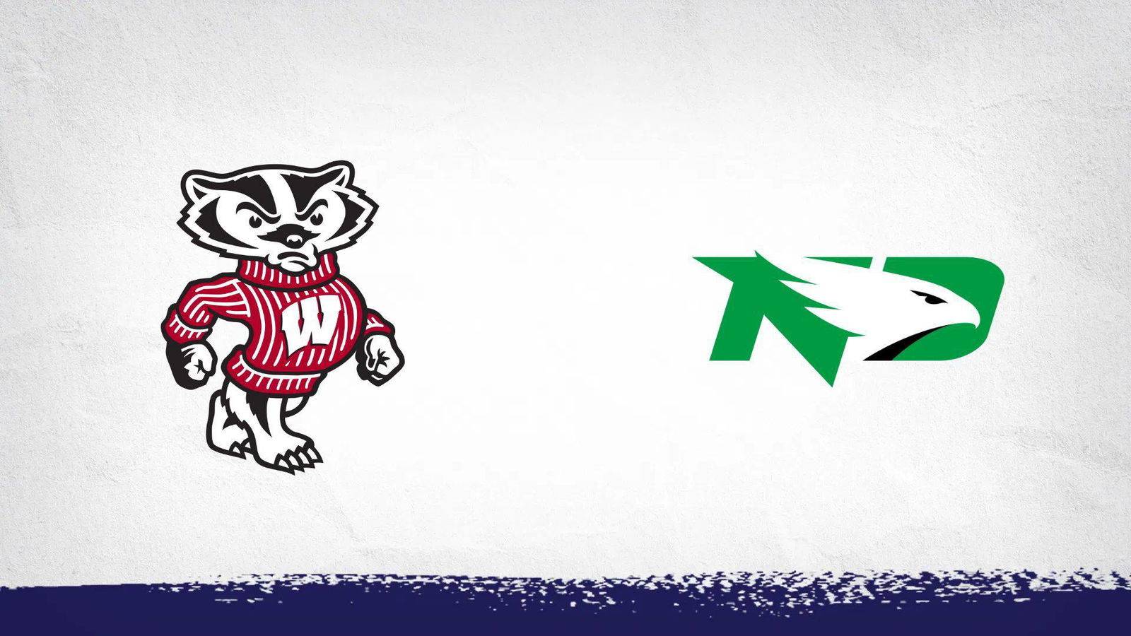 Badgers - Hawks (Gold Mites)