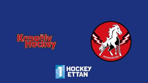 Halmstad Hammers HC - Tyringe SoSS