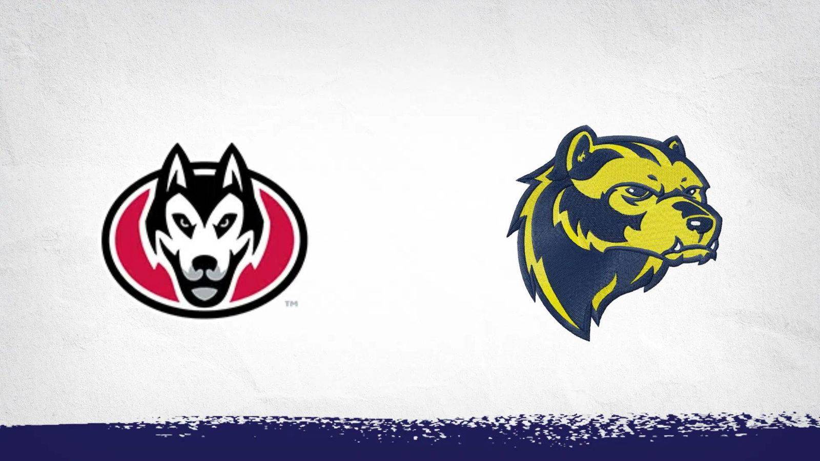 Huskies - Wolverines (Gold Mites)